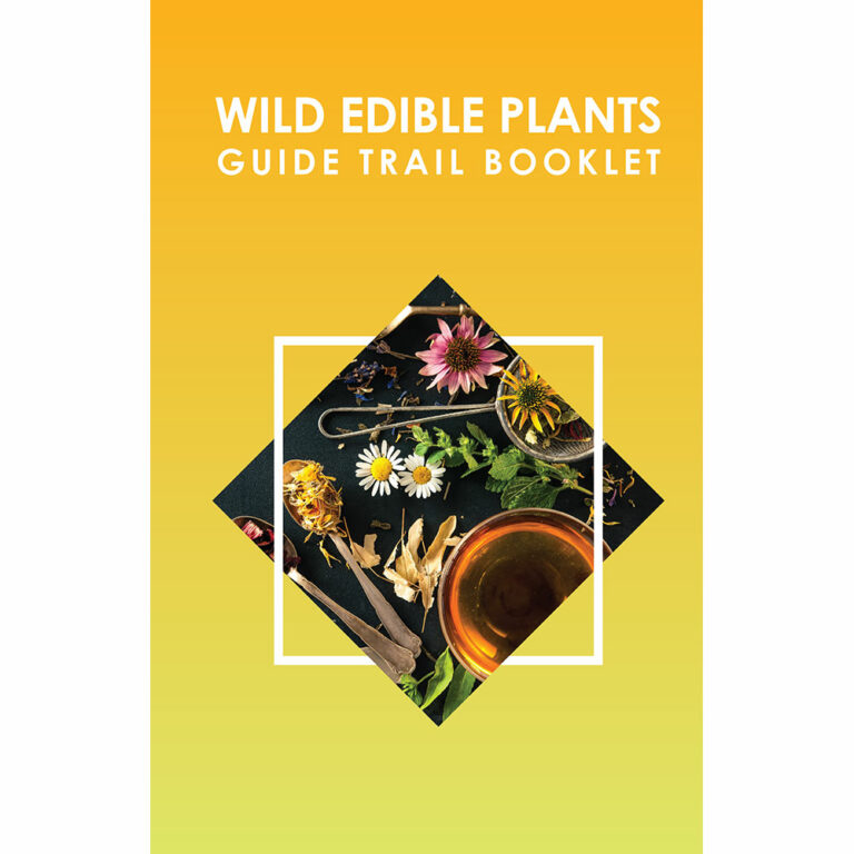 Wild Edible Plants Guide Trail Booklet – Shop Cadets