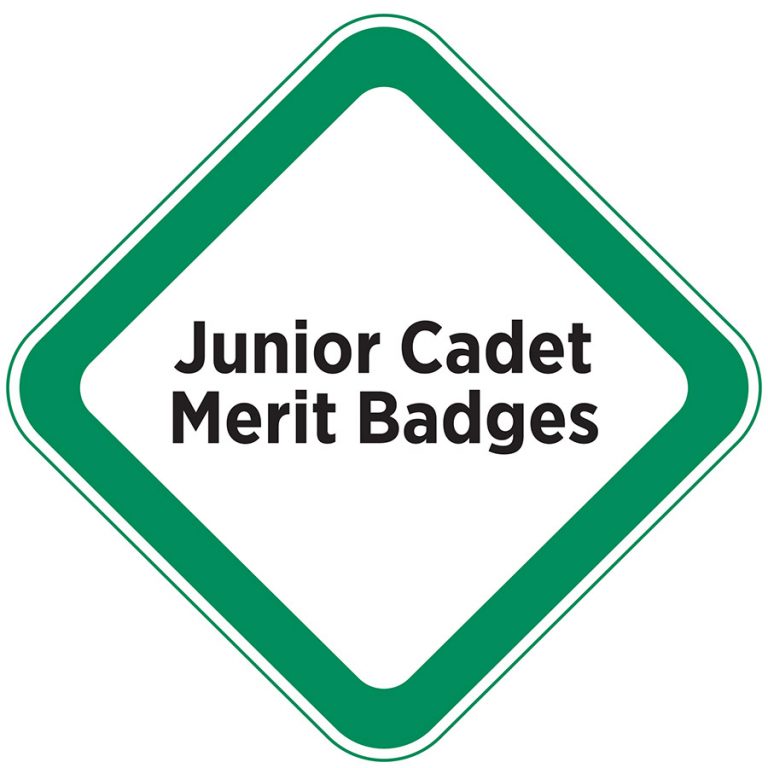 Junior Cadet Program/Year Stripes – Shop Cadets